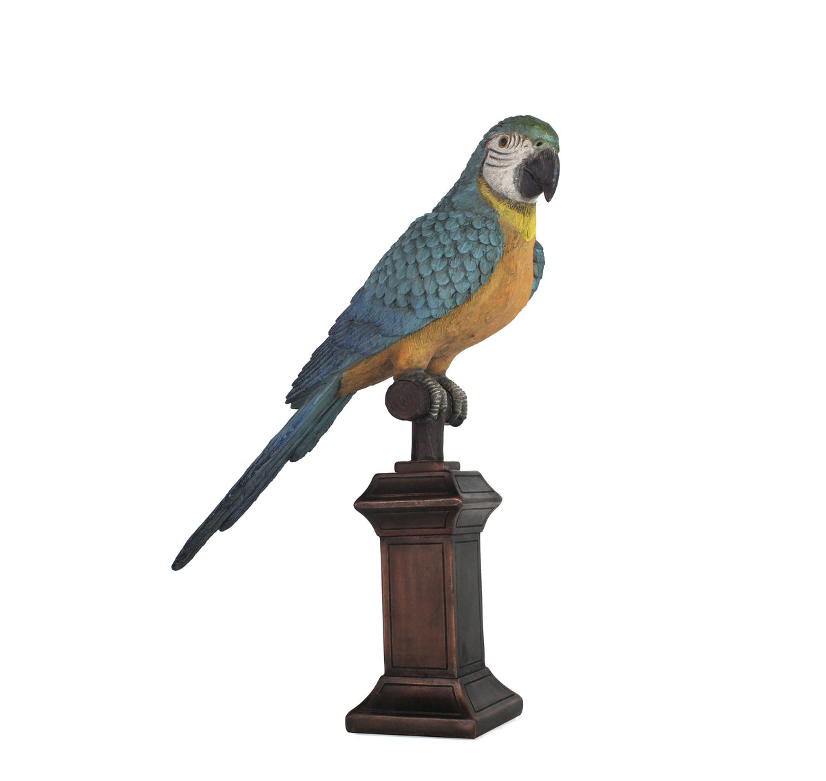 Macaw The Parrot – Bentley & Bo